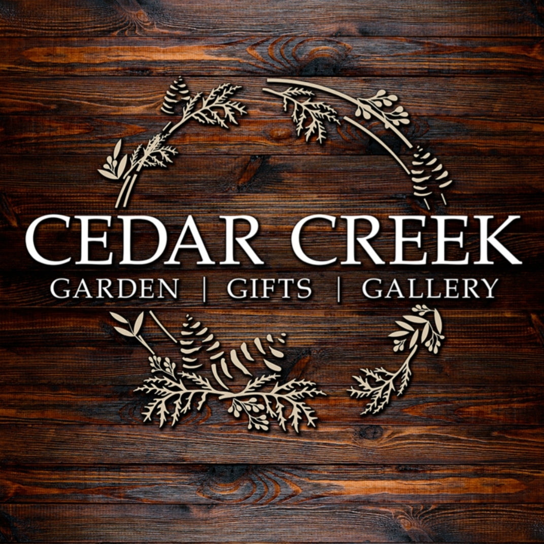 Get To Know Us At Cedar Creek – Cedar-Creek-Muskoka